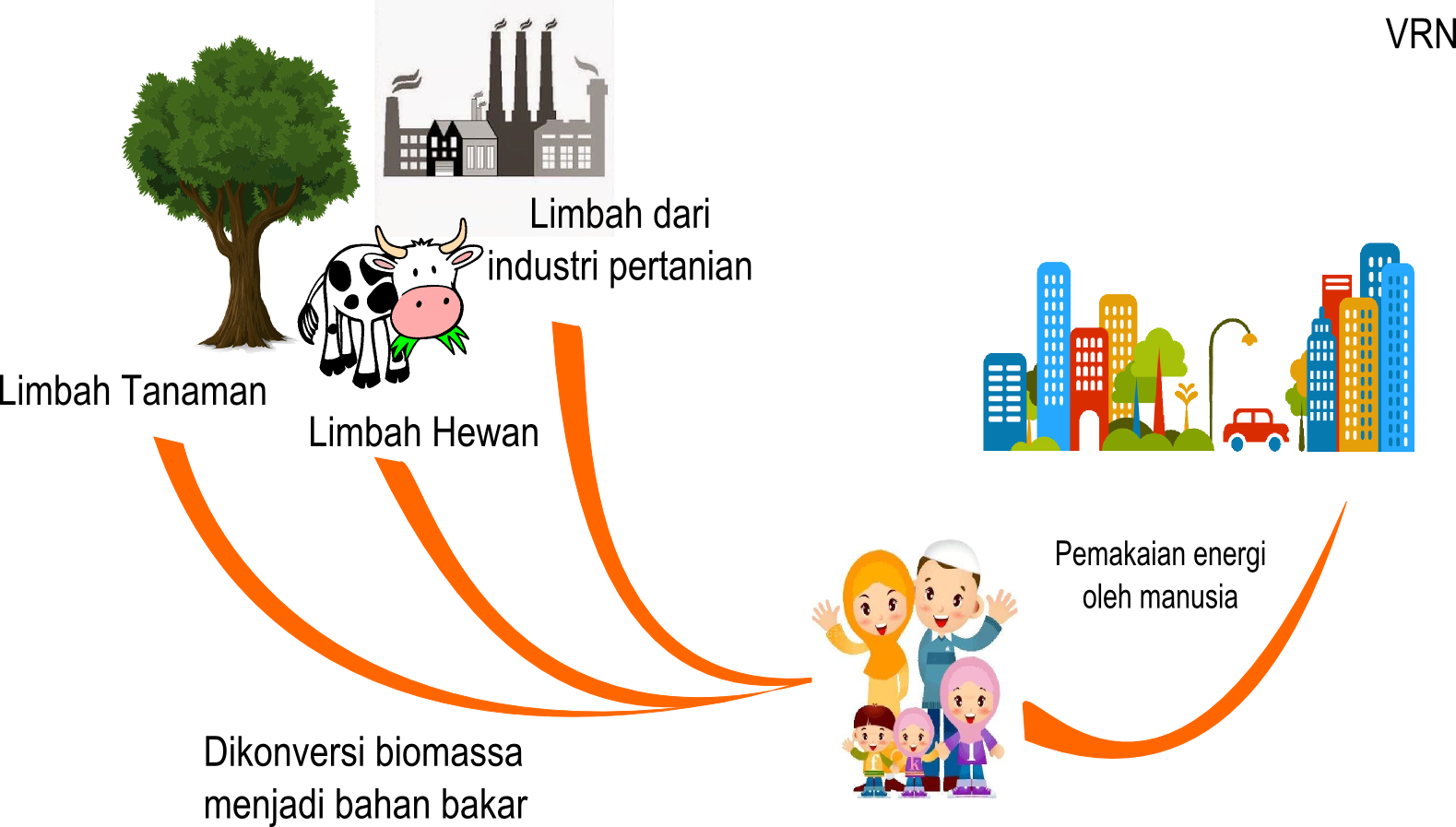 Penjelasan Lengkap Biomassa (Karekteristik, Komposisi, Proses Terbentuk ...