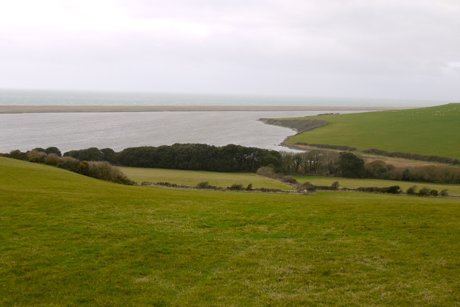 Walking in the country: Langton Herring to West Bexington (SW Coast ...