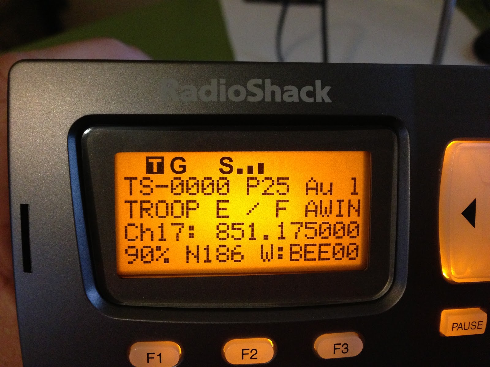 Monitoring Reviews: Radio Shack Pro-197 (GRE PSR-600) Picture Review
