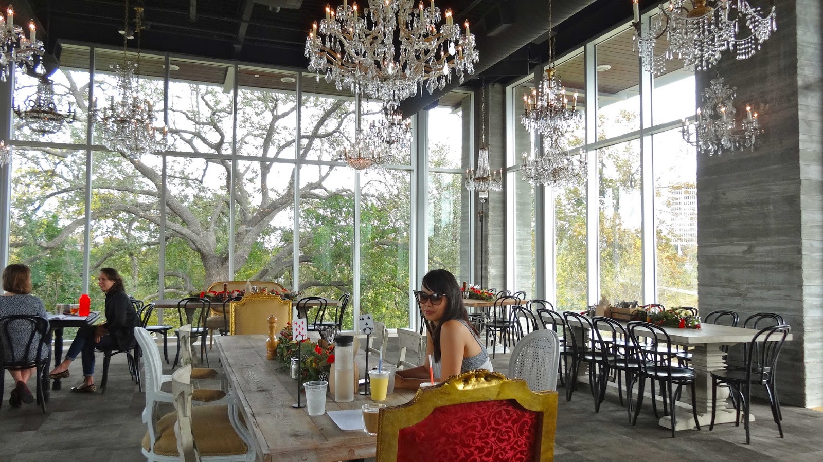 The Bayou Botanist: The Nymph's Treehouse