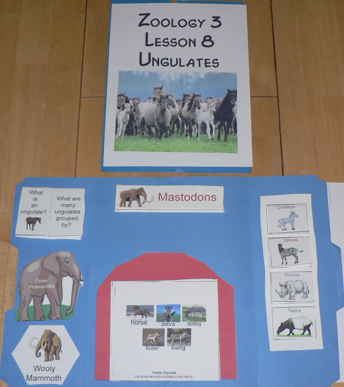 Walking by the Way: Our Zoo 3 Lapbooks by A Journey Through Learning