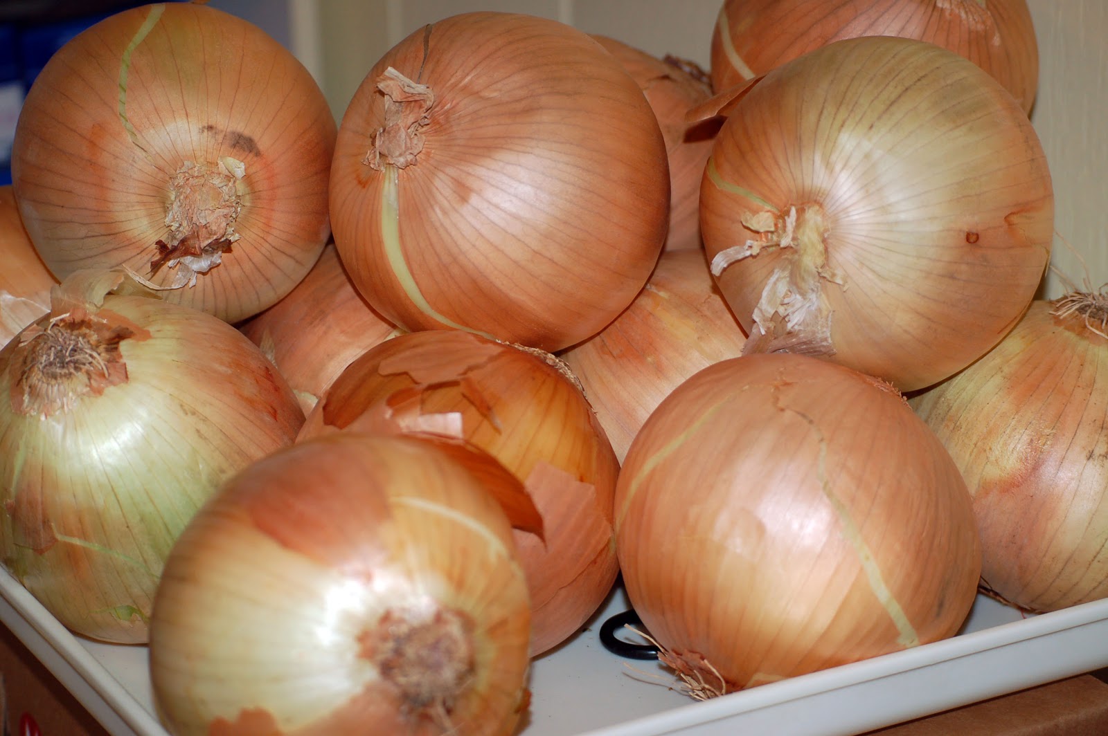 Dehydrating Way Beyond Jerky: Happiness is a Big Bag of Onions