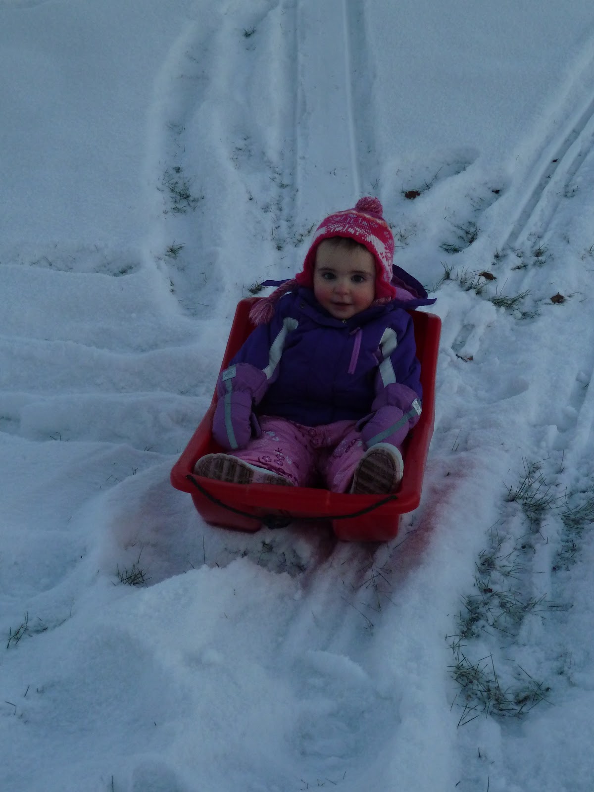 HeckLures' Northern Adventures: Wordless Wednesday: Baby Snow Bunny