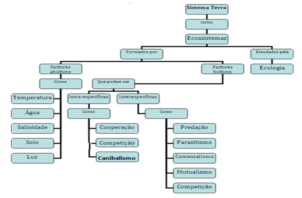 Seminários Biologia: Fevereiro 2013
