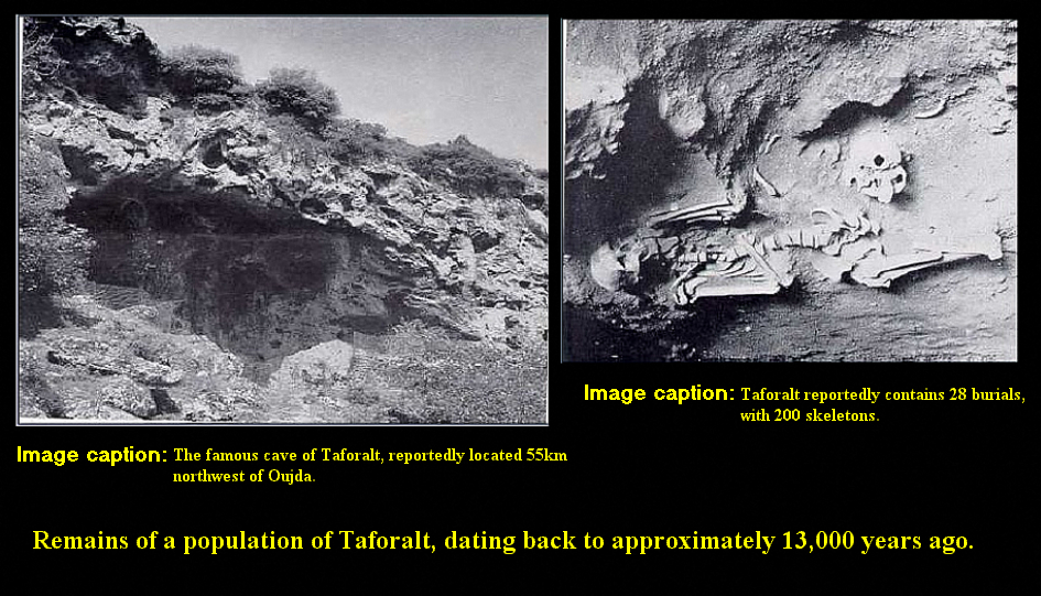 Africa: Rare Analyses and Knowledge-base: Update on Investigation into ...