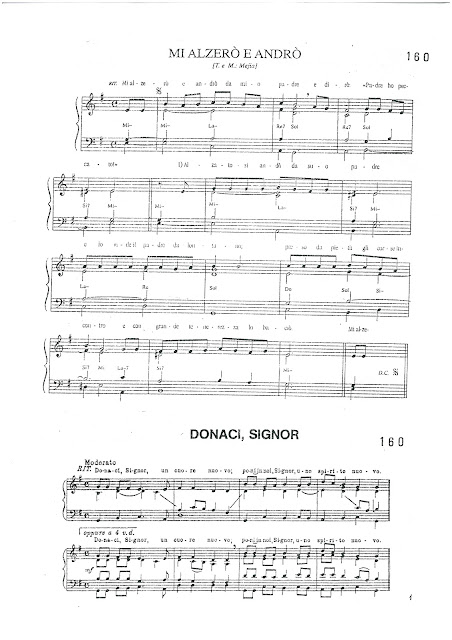 BODI SONČEK: 2o5 MI ALZERÒ E ANDRÒ