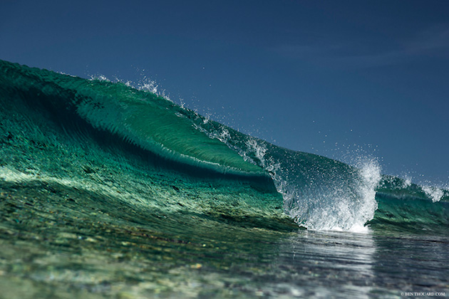 Photographer Spends Hours in Open Waters to Capture Exquisite Moments ...