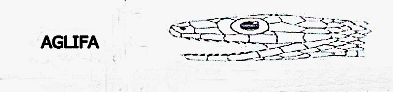 Tineo en Vertical-La Zona Verde: SERPIENTES VENENOSAS O NO VENENOSAS