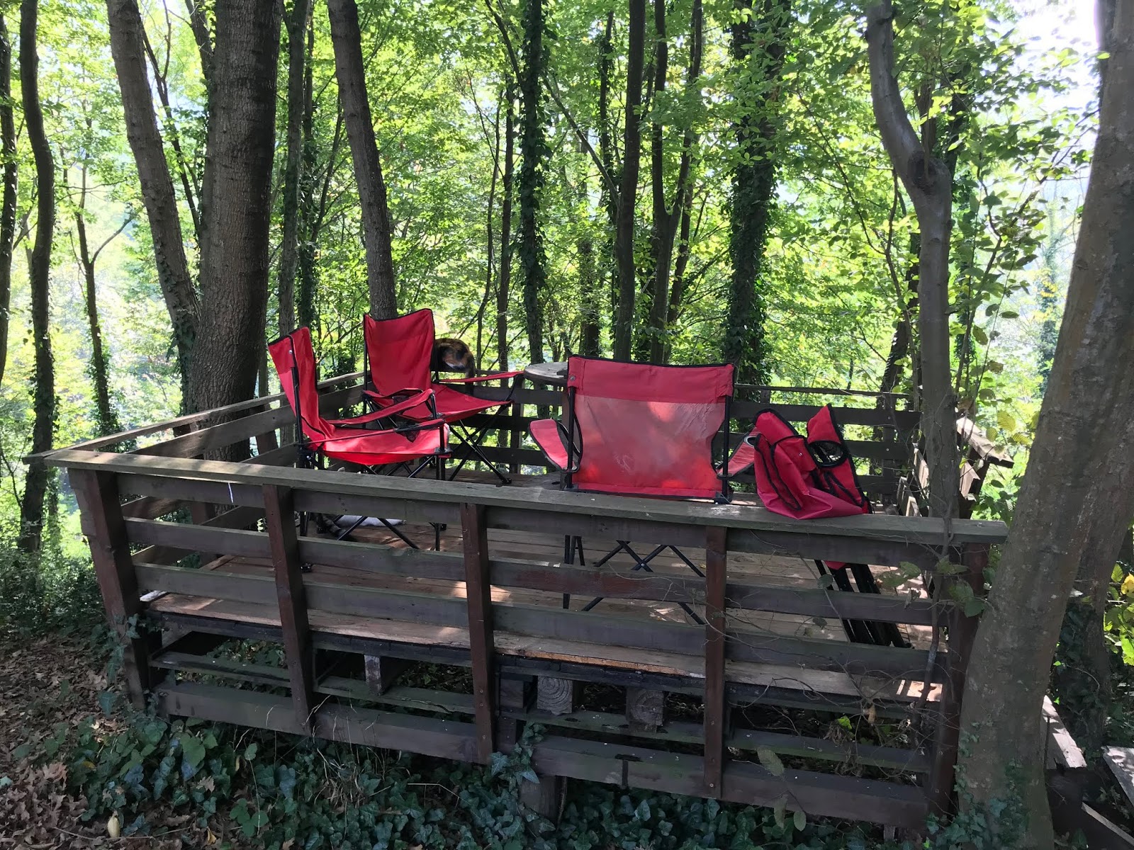 Hafta Sonu Yeşil Bir Kaçış: Ortanca Evleri