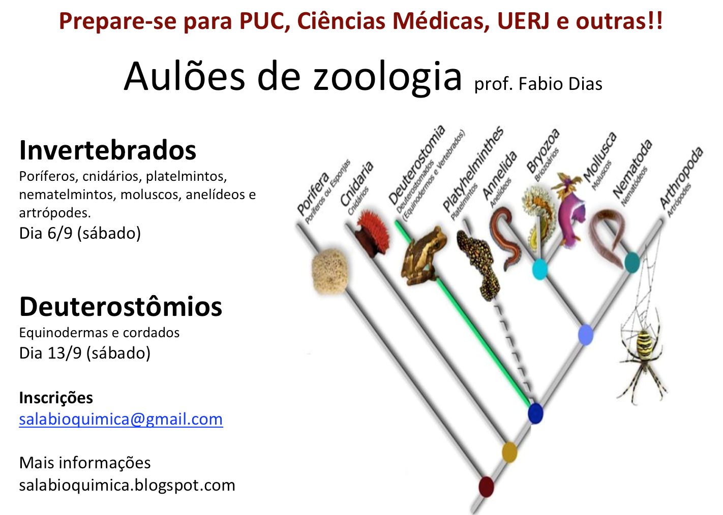 O Que Estudar No Zoologia - RETOEDU