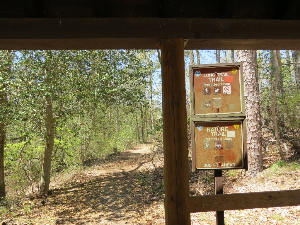 Gone Hikin': Parvin State Park, NJ