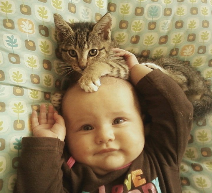 Catsparella: Babies and their Cats