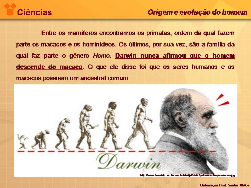 ENCANTOS DA CIÊNCIAS: Power point para o 8º ano/ Origem e Evolução do Homem