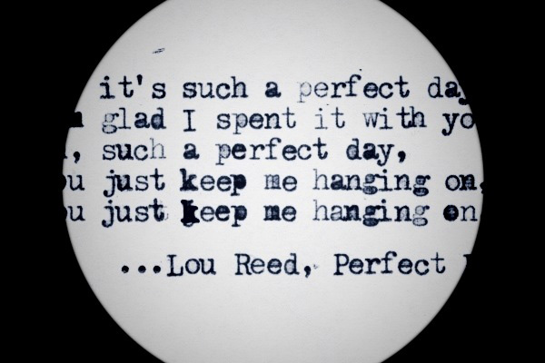 midnight snark: what does your perfect day look like?