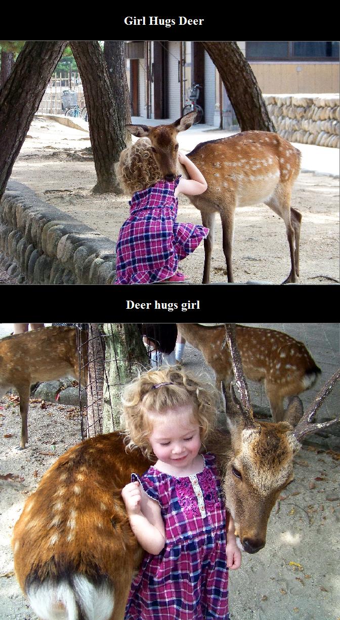 Girl hugs deer, deer hugs girl (pic) | Amazing Creatures