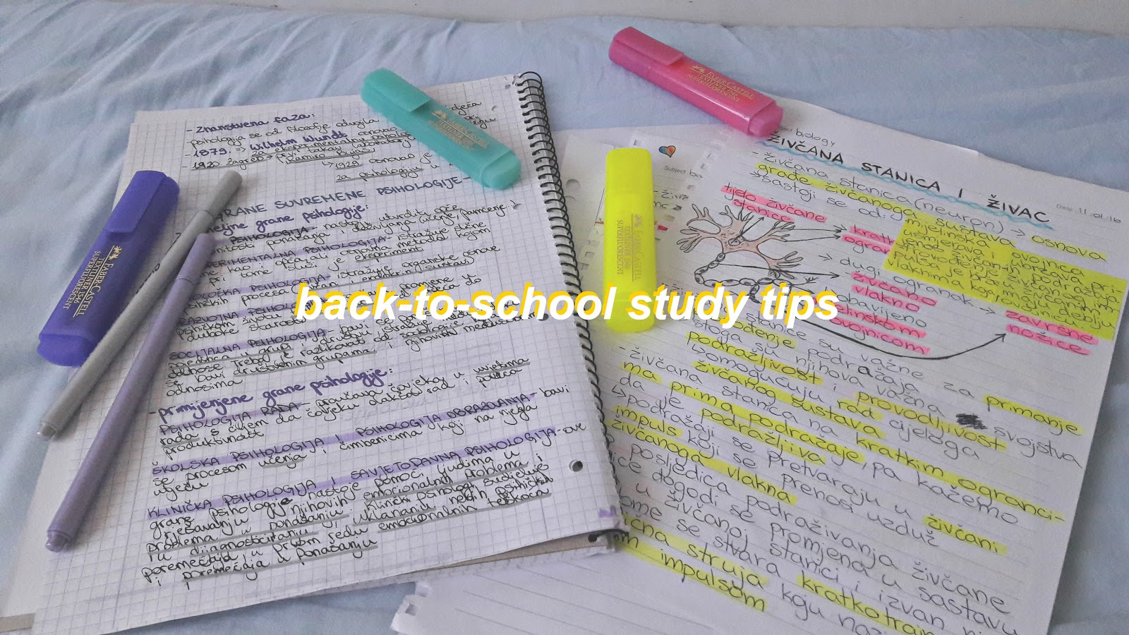 back-to-school study tips