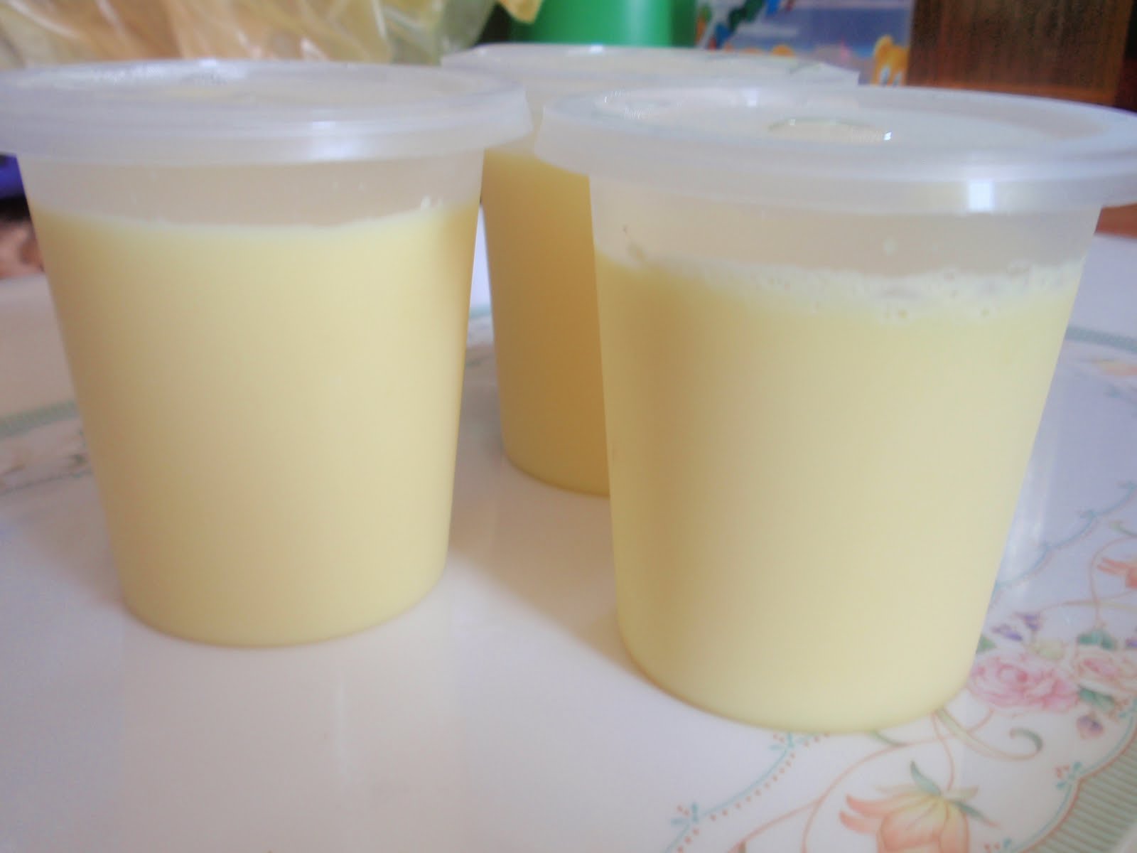 Senandung Budi: RESEPI DADIH