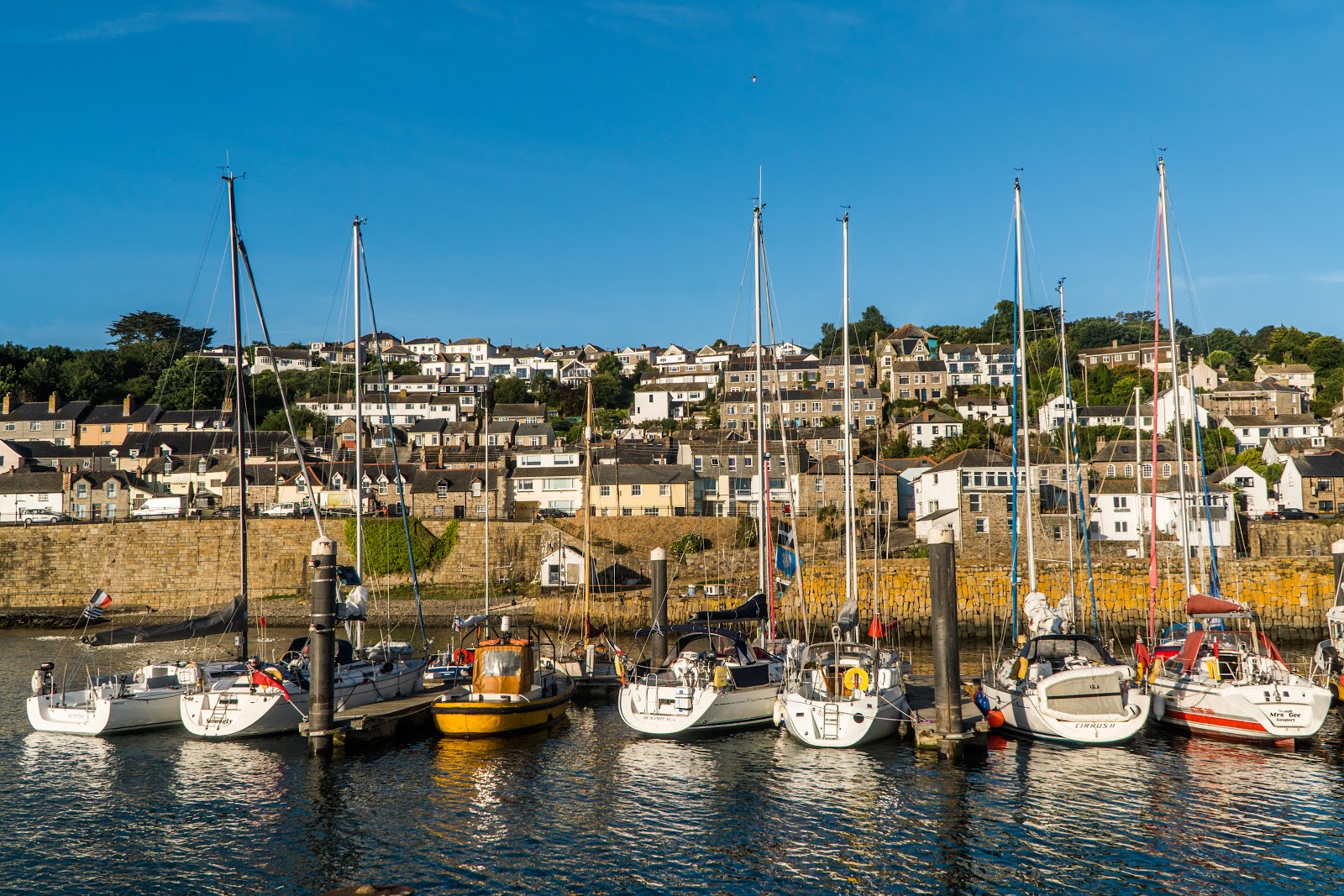 Through the Gaps! - Newlyn Fishing News: Mid-week fish market in Newlyn ...