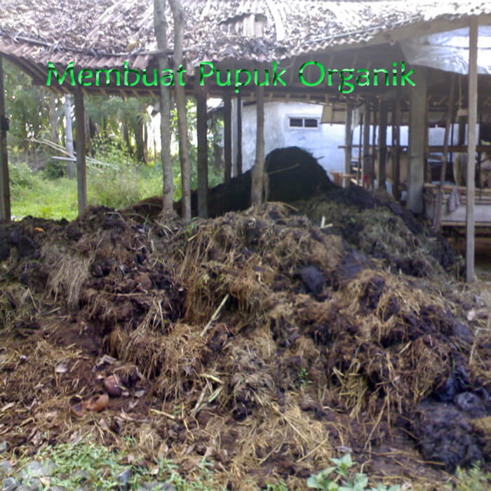 Tips Cara Membuat Pupuk Organik