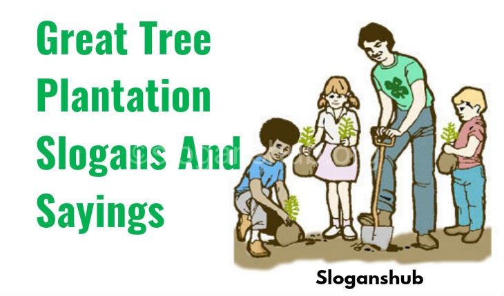 Plantation03: Tree Plantation Slogans / 11 Best Quotes images | Save ...