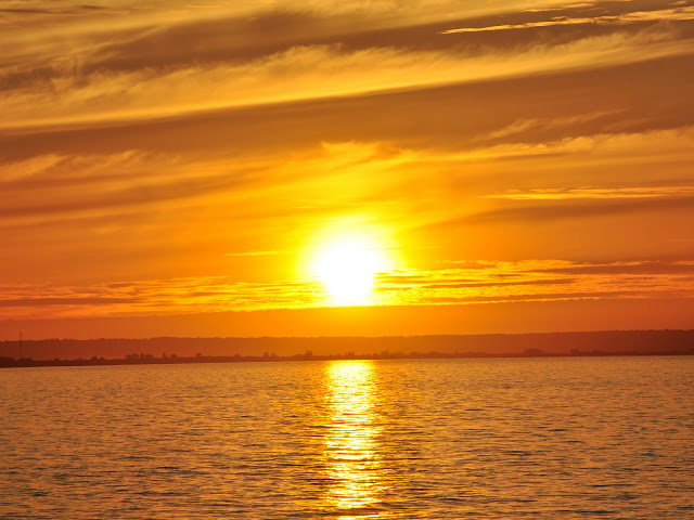 La Historia de la Semana