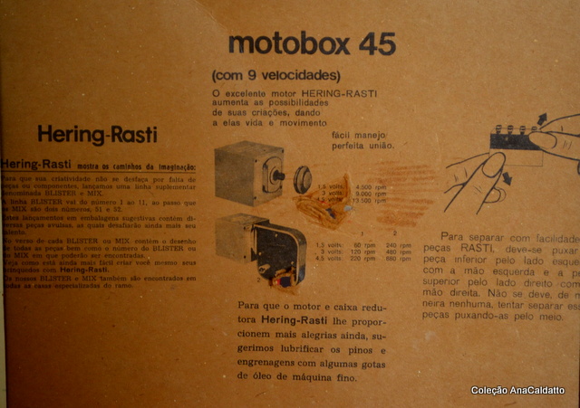 Ana Caldatto : Blocos Hering-Rasti