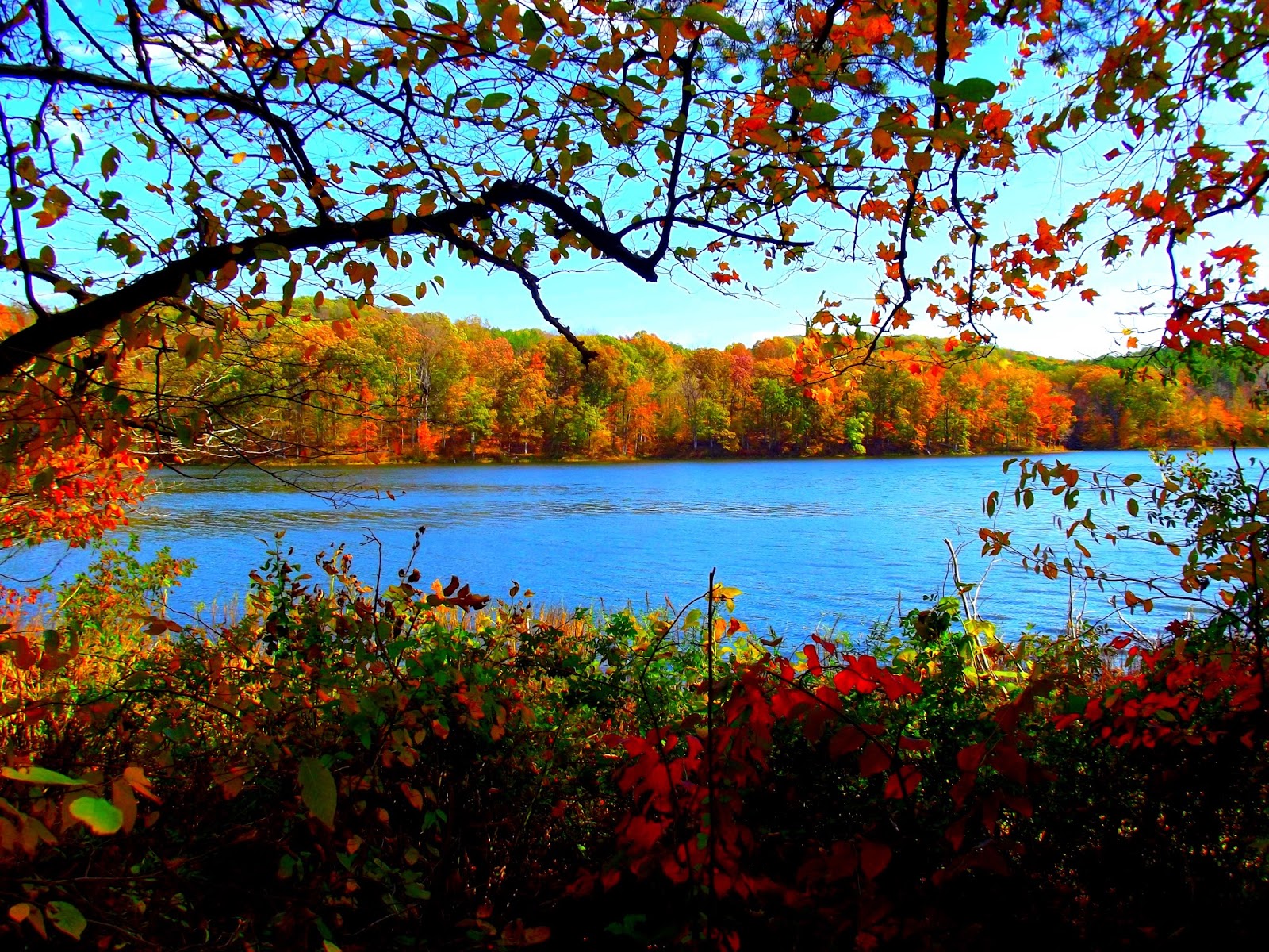 Yellowwood State Forest – Nashville, Indiana