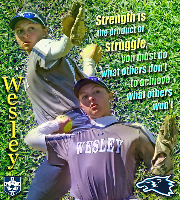 Wesley Wolverines Fastpitch Softball: STRENGTH IS STRUGGLE