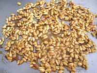 Little Compton Mornings: Prickly Pear and Pignon: Native Foods for ...