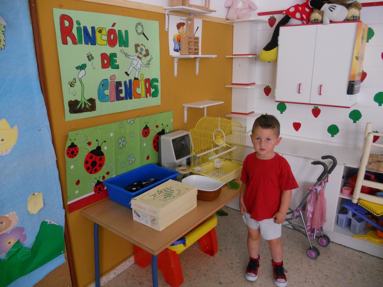 Duendes Mágicos: RINCÓN DE CIENCIAS