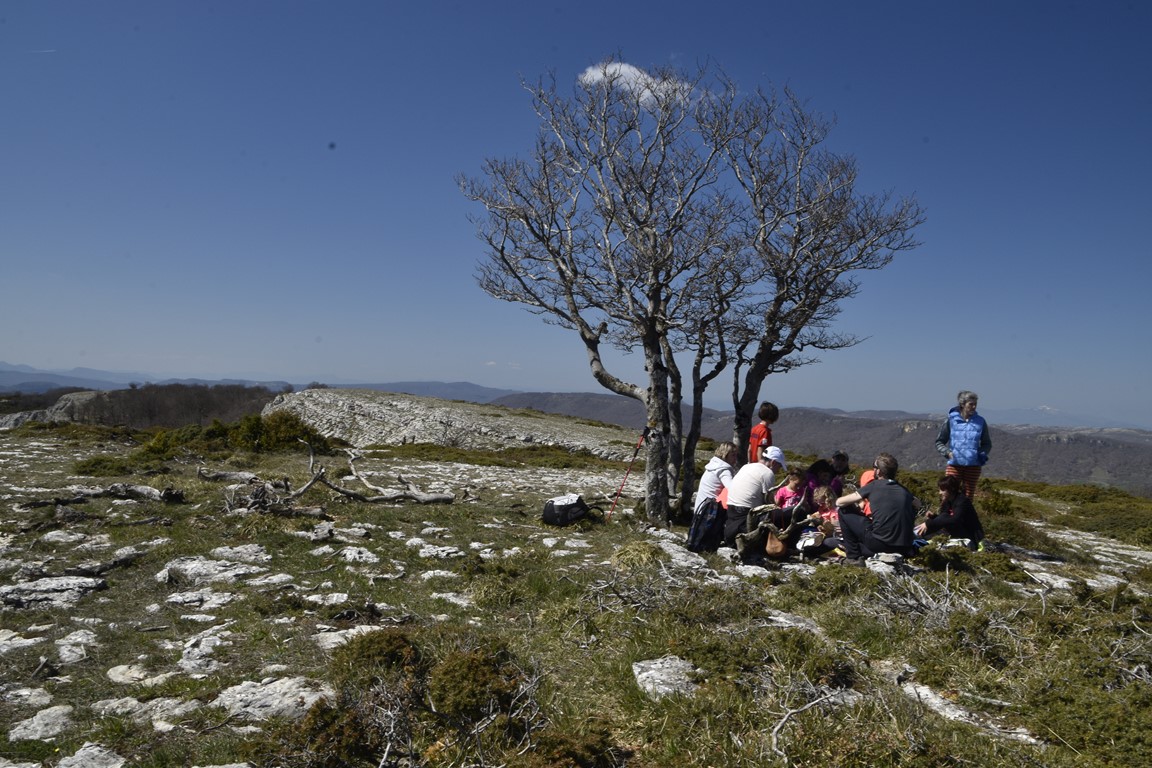Mendiko osterak: Arnaba zirkularra Gastiain herritik