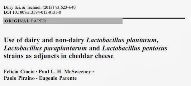 CheeseScience.net: Publication- DST