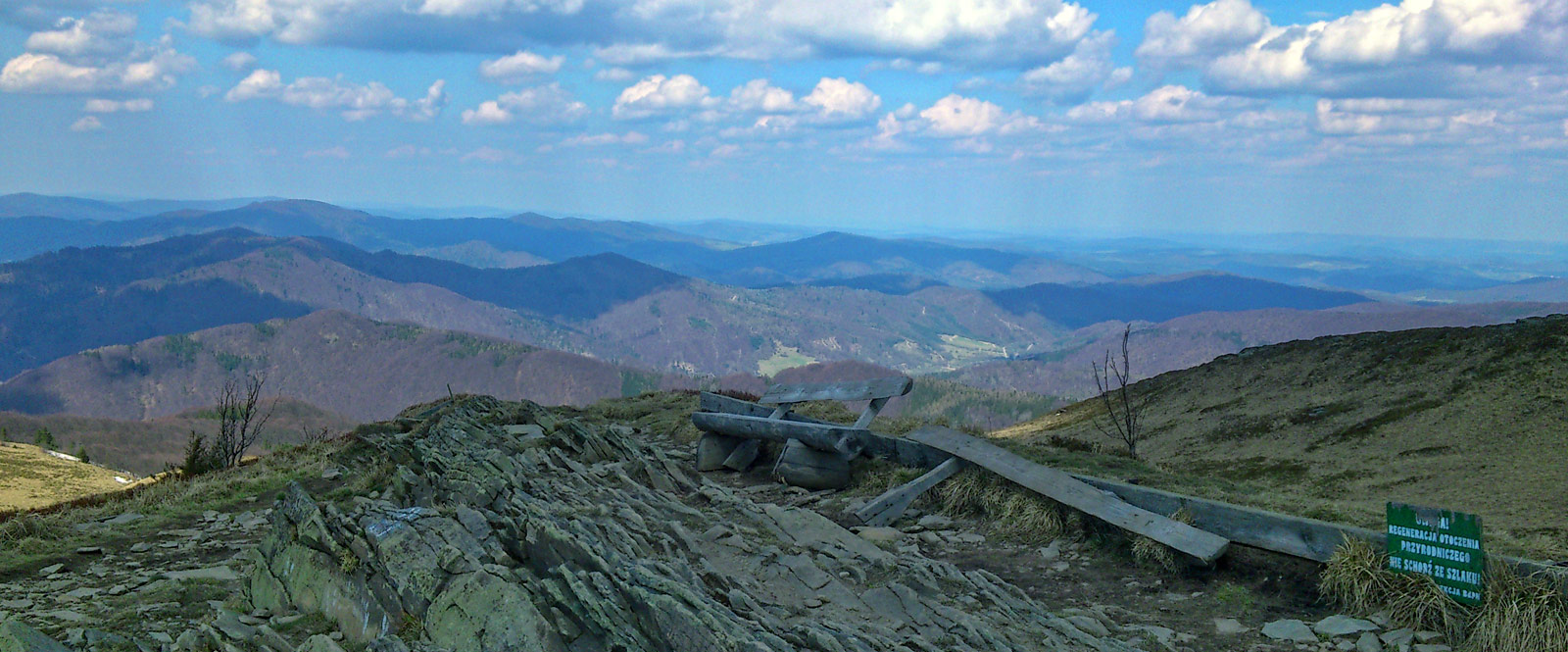 Gwiazdy w głowie i gorzałka: Smerek