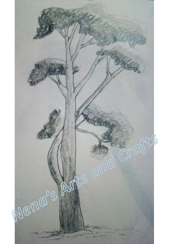 Nena's Arts and Crafts: Pencil Drawings and Shading - Trees