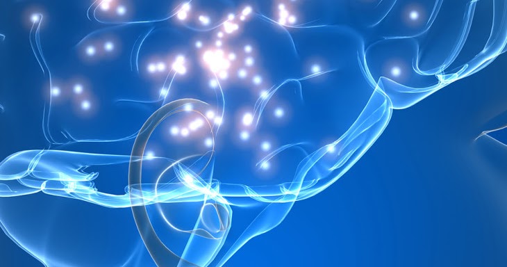 Borelioza - Barbara Plucinska - choroba z LYME: CHEMOKINA CXCL13 ...