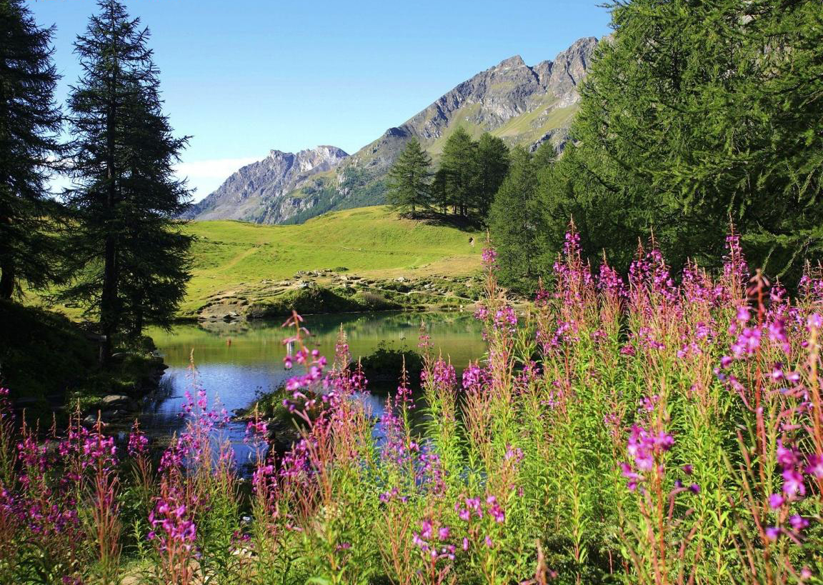 BANCO DE IMÁGENES GRATIS: 10 paisajes naturales realmente increíbles ...