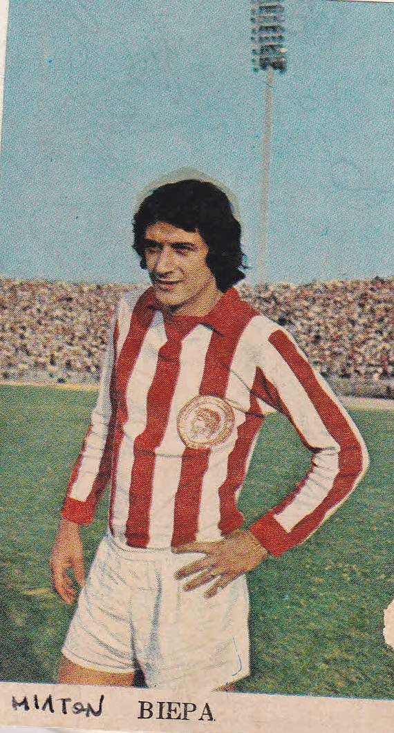 ερυθρολευκο μετεριζι: ΜΙΛΤΟΝ ΒΙΕΡΑ