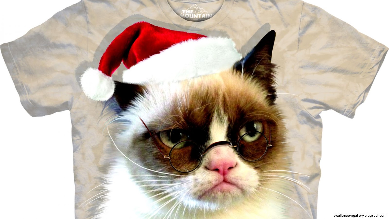 Grumpy Cat Christmas Hat | Wallpapers Gallery