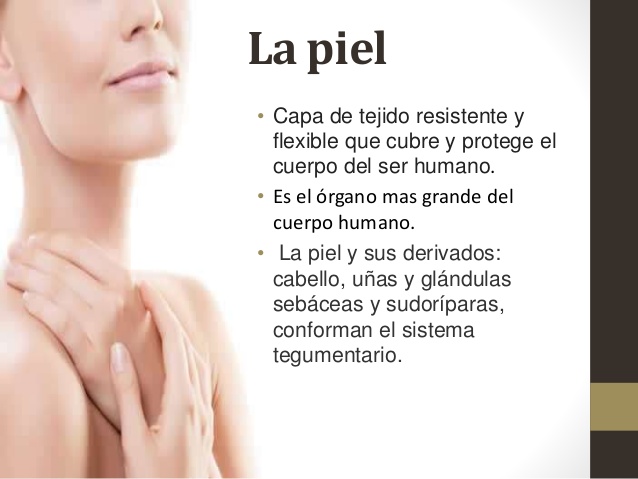 ~ Medicina biológico-naturista