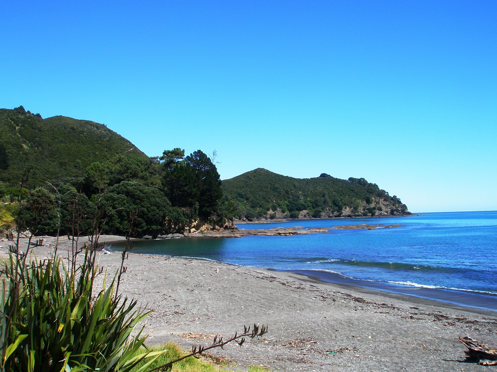 drama* on the waterfront: Peninsula: Idyllic Times