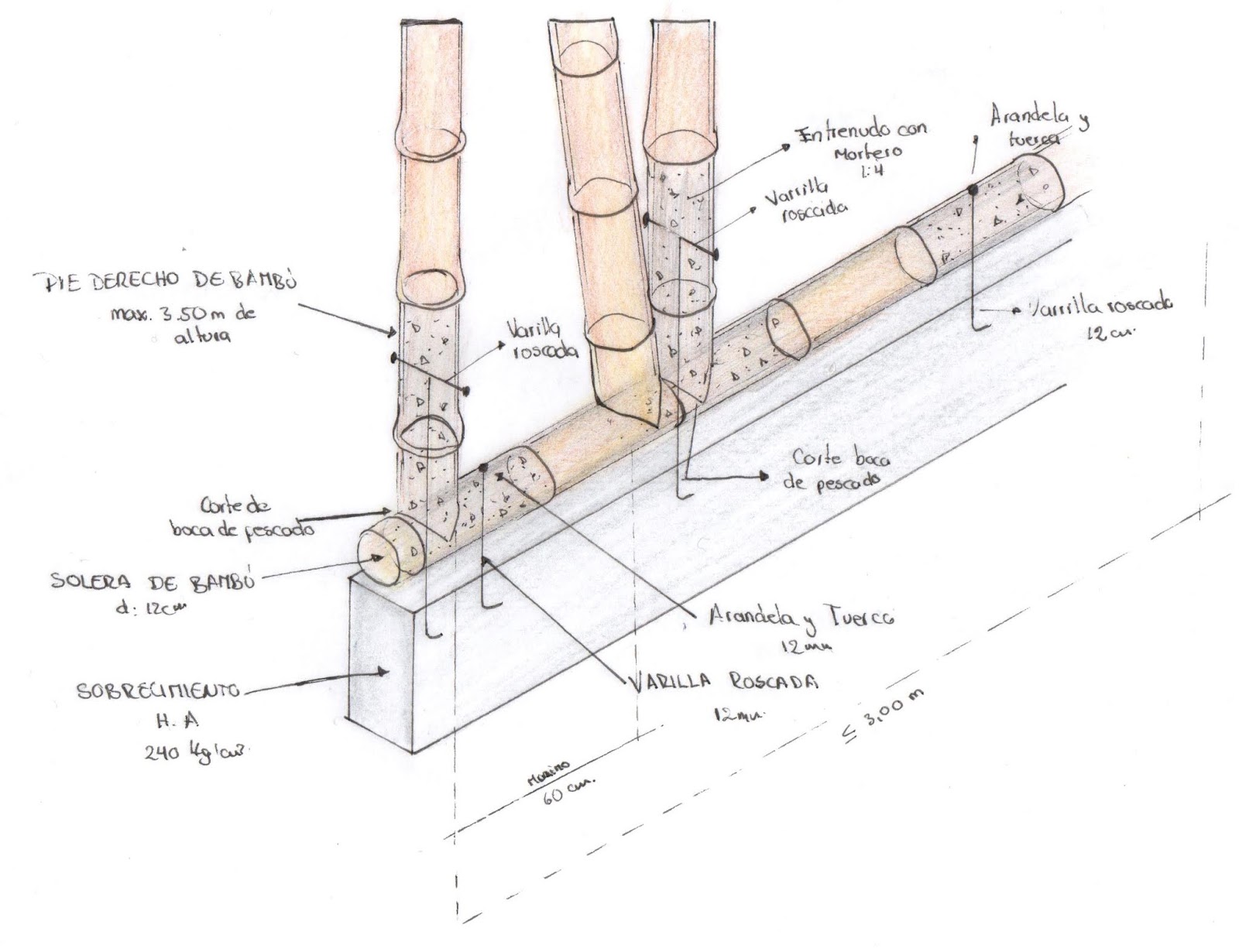 EL BAMBÚ EN LA CONSTRUCIÓN Y DETALLES CONSTRUCTIVOS
