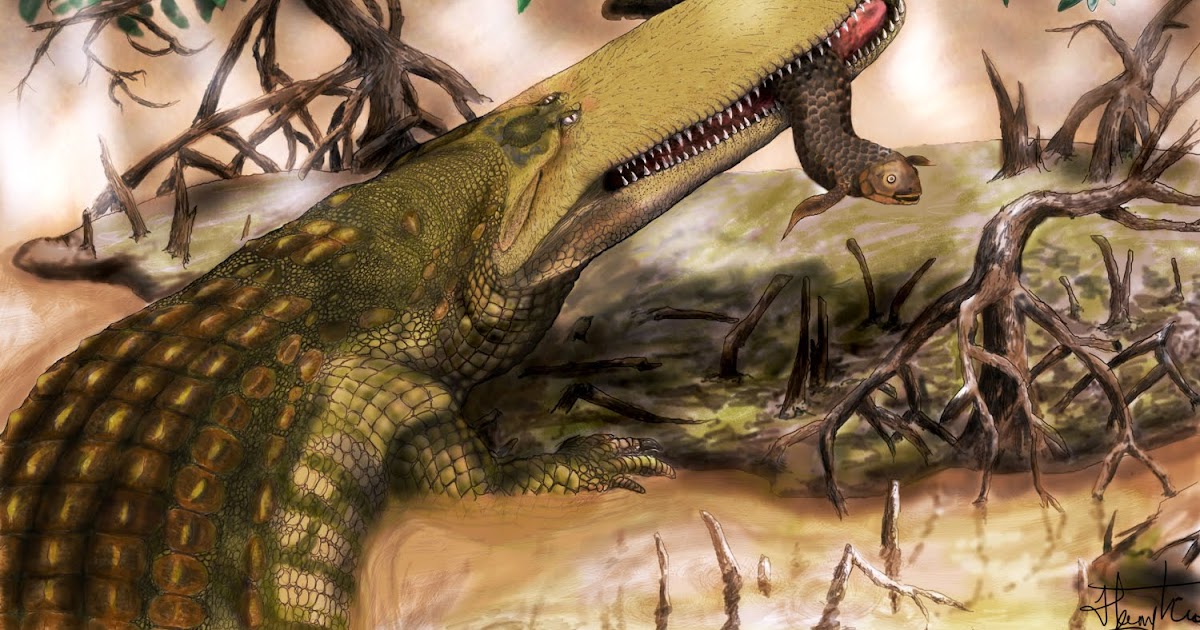 Shieldcroc: A 30 Foot Long Prehistoric Crocodile Discovered