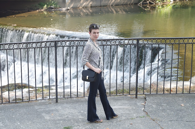 The Picturesque Liar