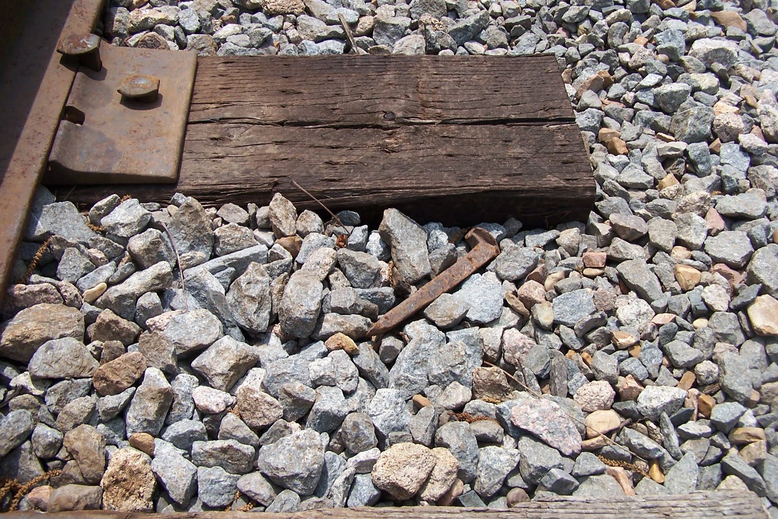 And So it Goes in Shreveport: Take a Trip to Ed Lester Farms and A ...