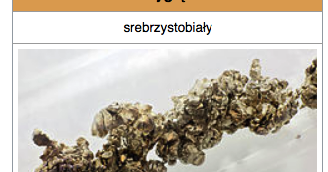 Biologia - nauka o życiu: Berylowce (Metale ziem alkalicznych), cz. 2 ...