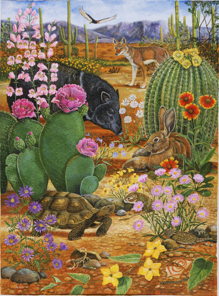 Artists' Journal Workshop: Interview #16--meet Sandy Williams!