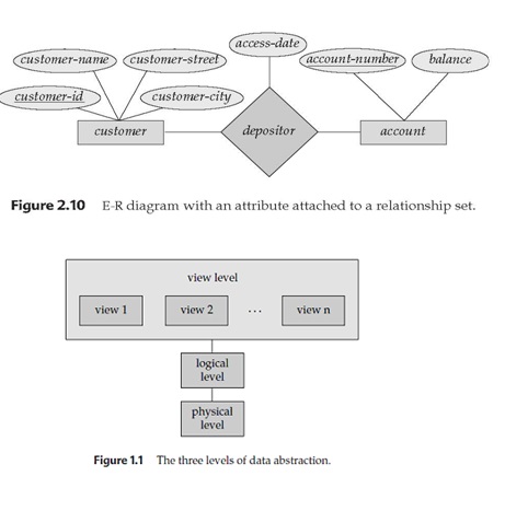 The USA Mirror: Database Management System (DBMS)