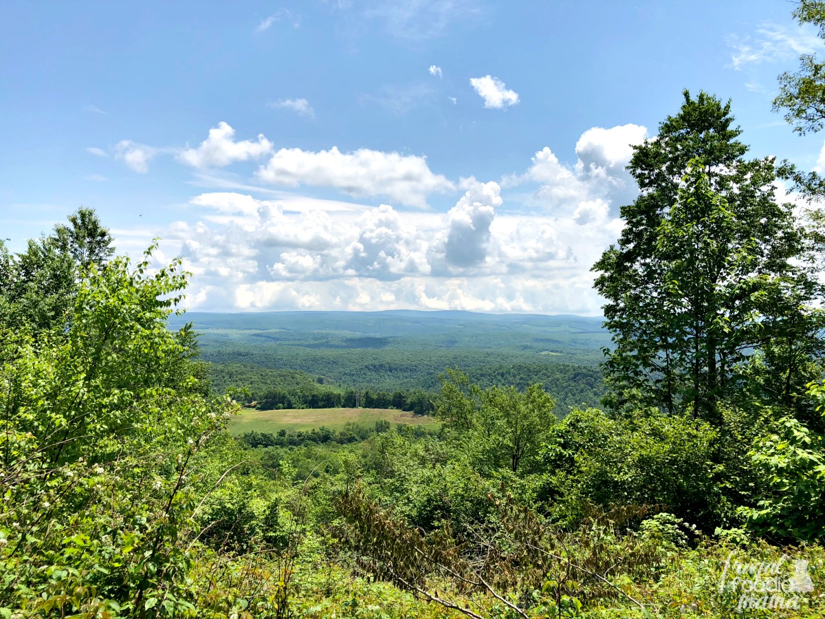 Frugal Foodie Mama: The 5 Best Hikes in West Virginia for Amazing Views