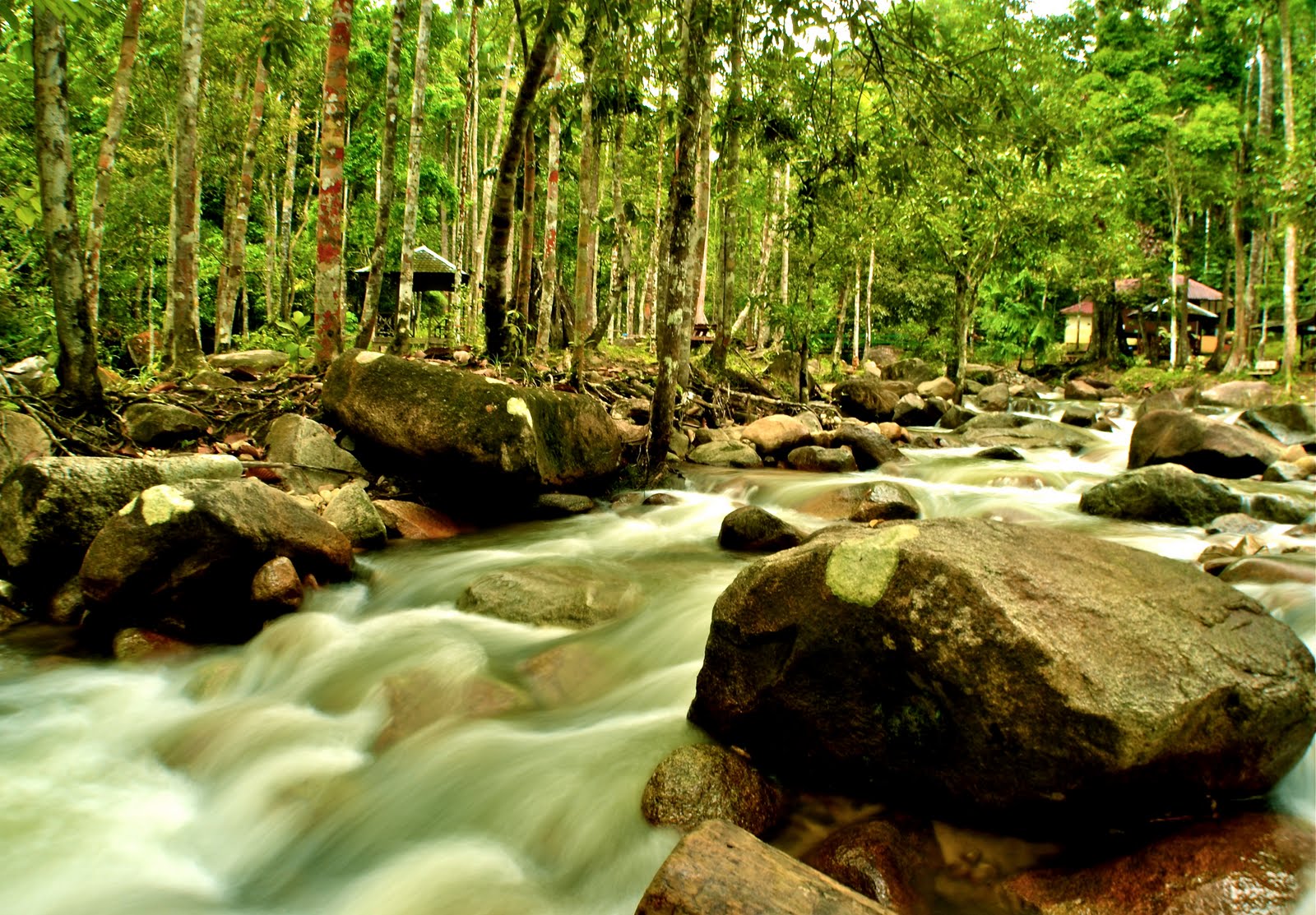 PERKASA HOMESTAY, SEGAMAT: Tempat Menarik di Segamat - Sungai Bantang ...