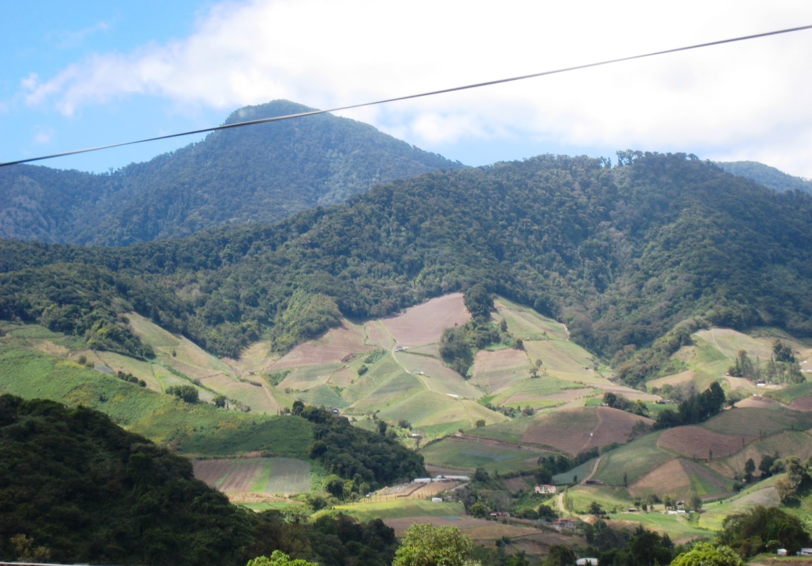 Adventures in Panama 2013: Visit to Cerro Punta